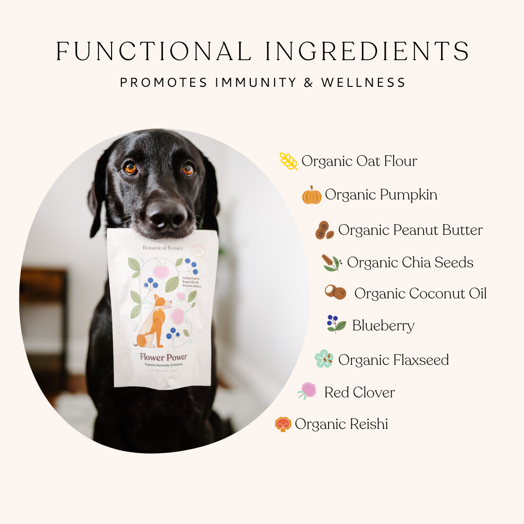 Immune Superfood Antioxidant Dog Treats | Botanical Bones